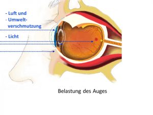 Bindehautentzündung – Augenarztpraxis Dr. Brodehl